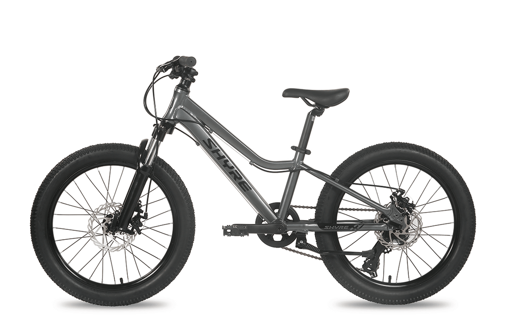 Shyre Eastie 20" Wheel Kids Mountain Bike – Discounted Bikes